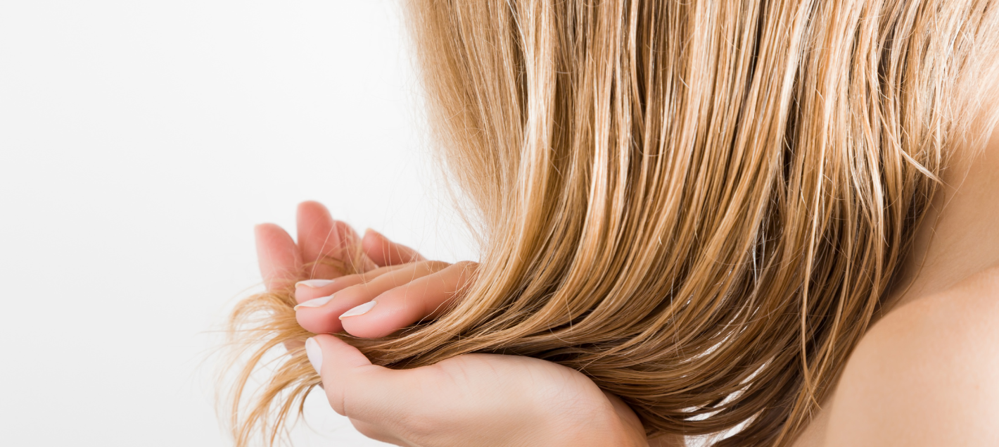 Halifax Luxury Hair Salon – Thumpers Salon